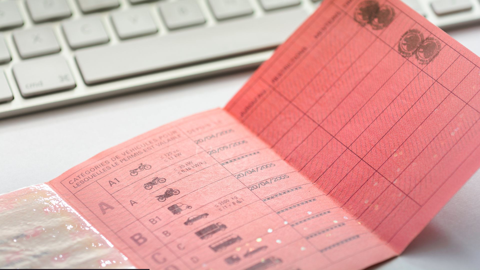 Le format papier rose bientôt invalide — comment le remplacer - Permis ...